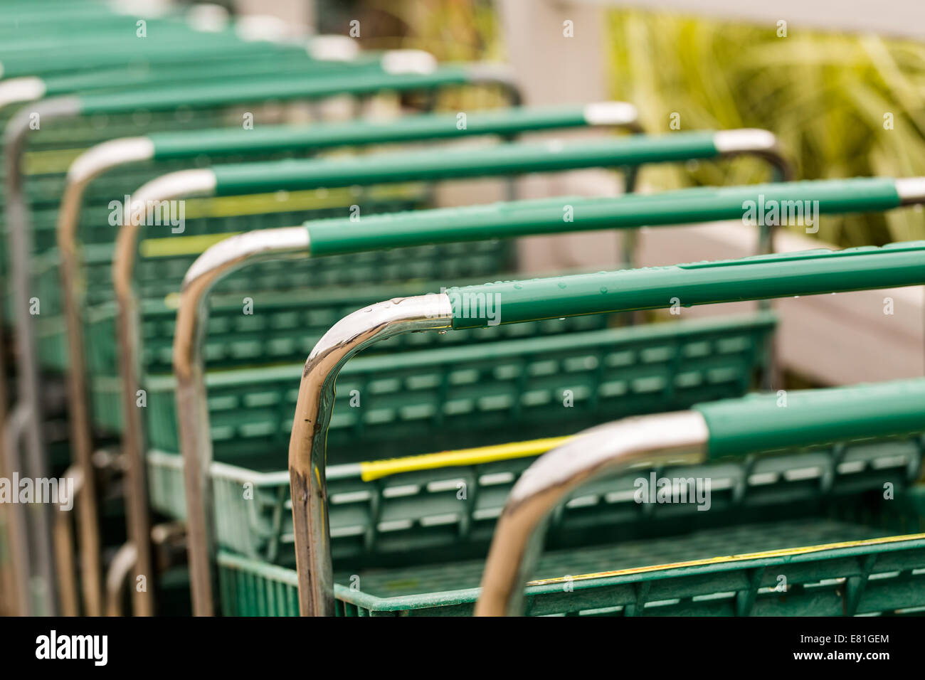 Large green shopping cart in a row Stock Photo - Alamy