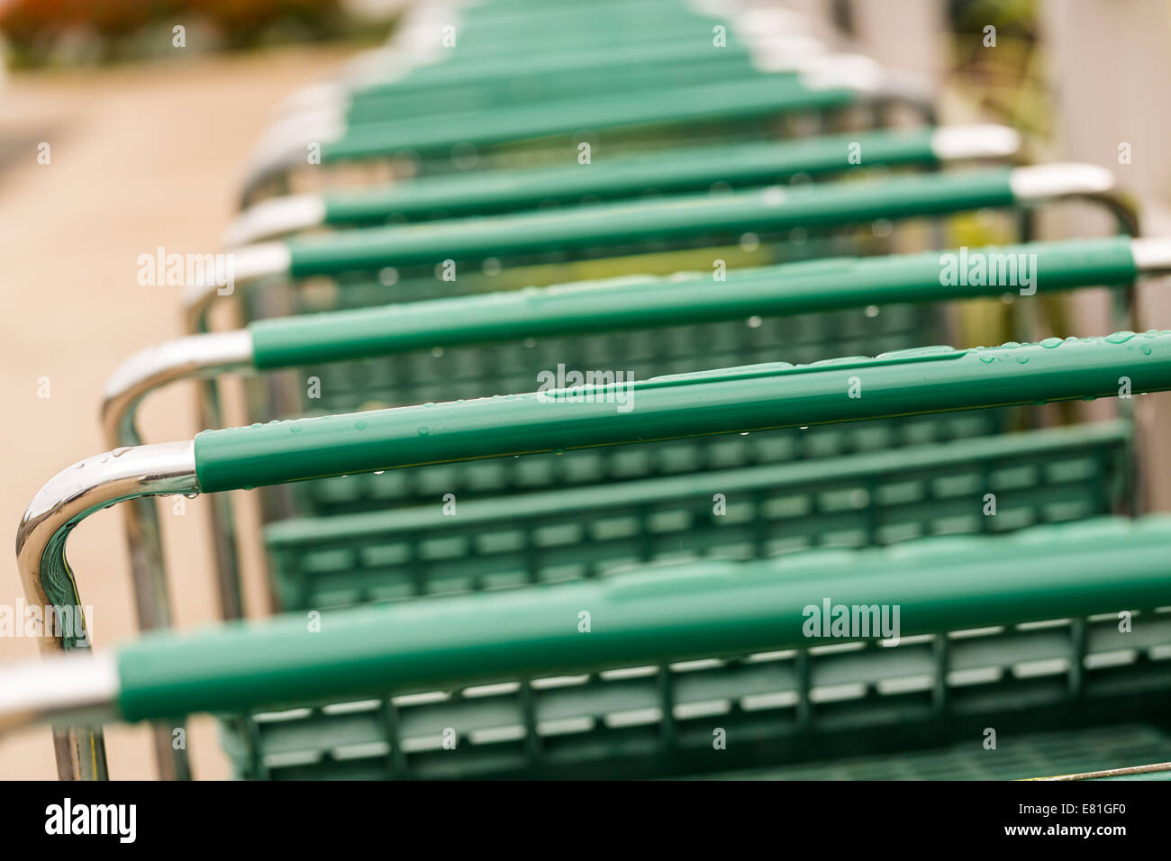 Large green shopping cart in a row Stock Photo - Alamy