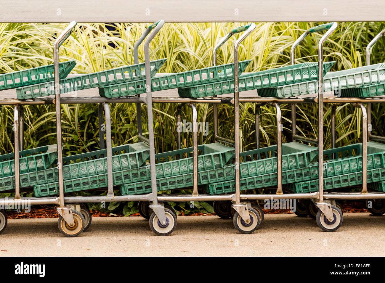 Large green shopping cart in a row Stock Photo - Alamy
