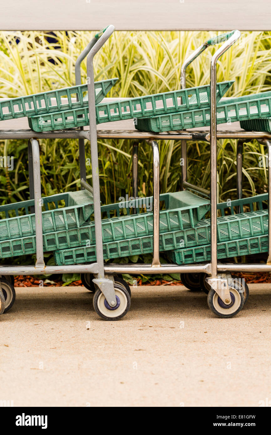 Large green shopping cart in a row Stock Photo - Alamy