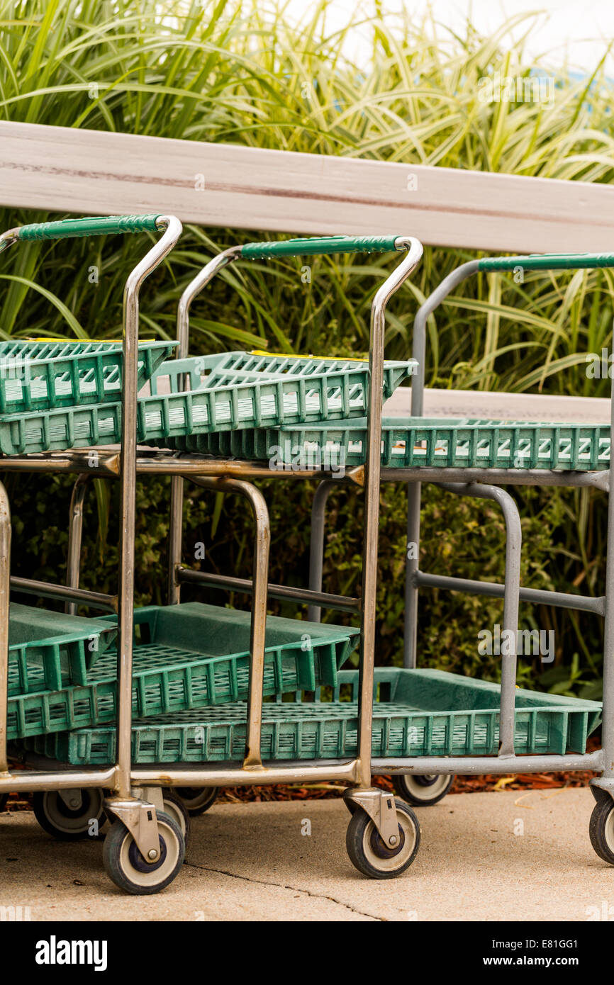 Large green shopping cart in a row Stock Photo - Alamy