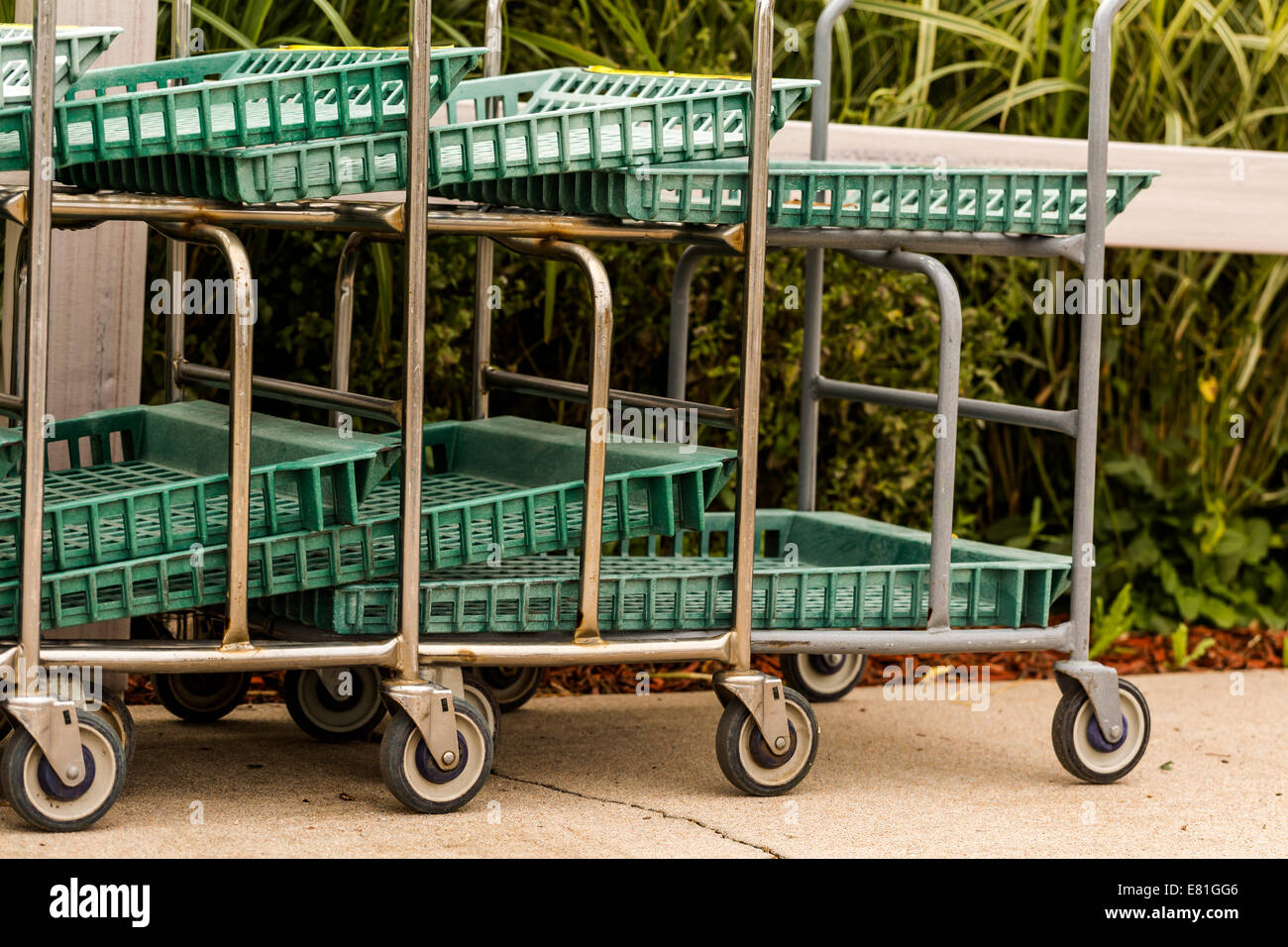 Large green shopping cart in a row Stock Photo - Alamy