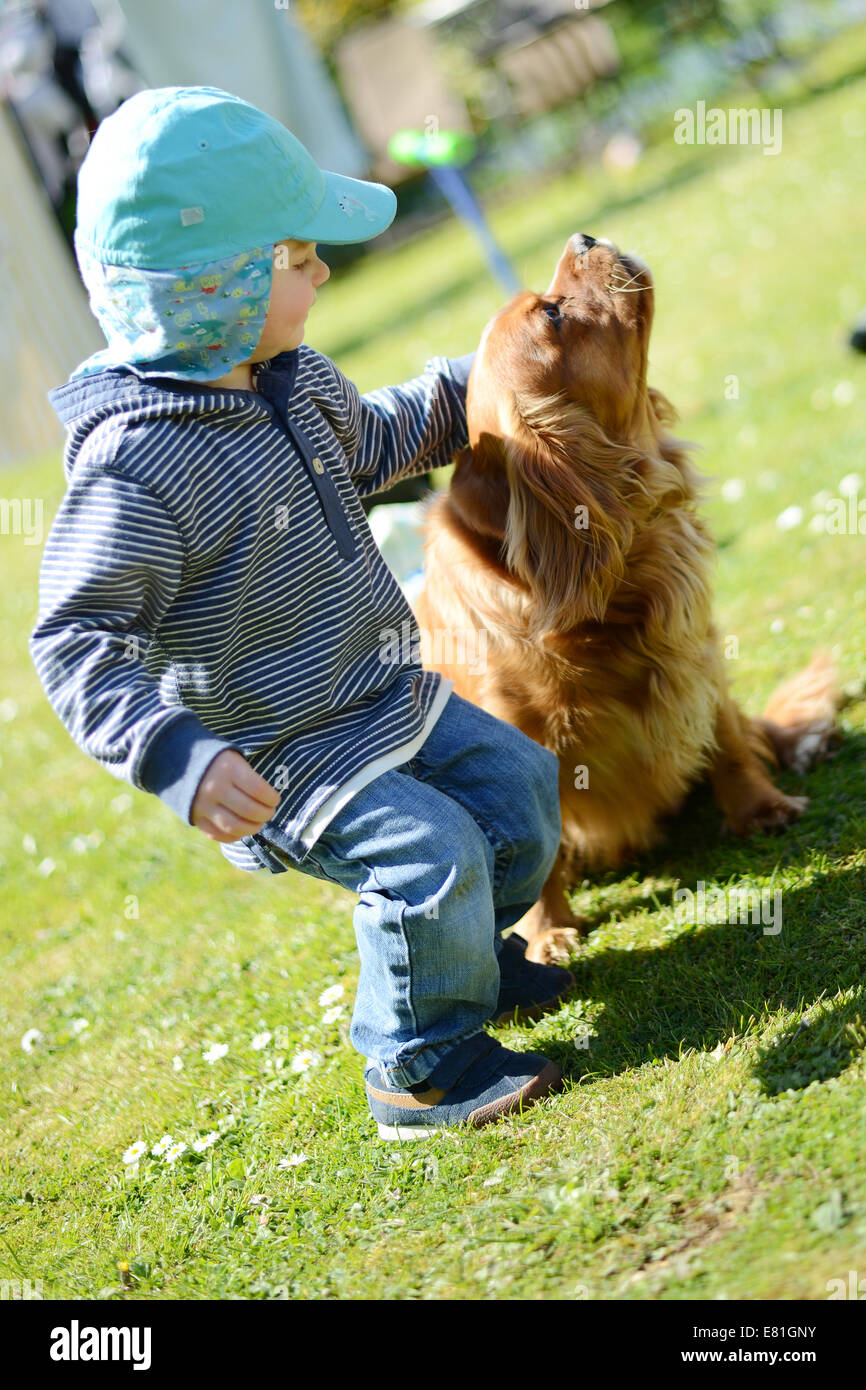 Two year boy petting or stroking a dog in a garden whilst wearing a sun ...