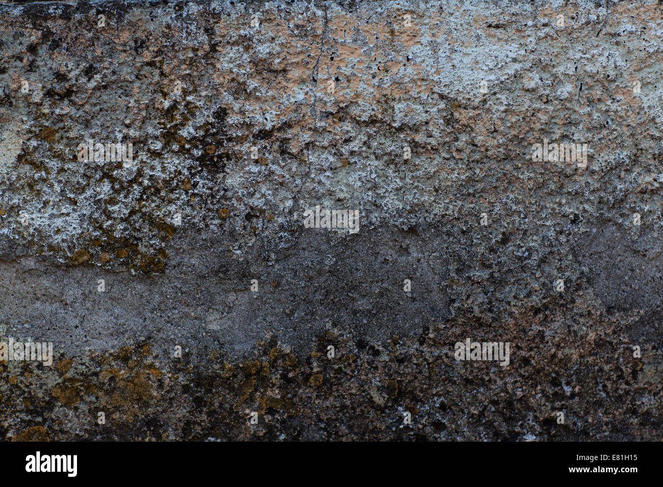 texture detailing exterior wall with mold Stock Photo - Alamy