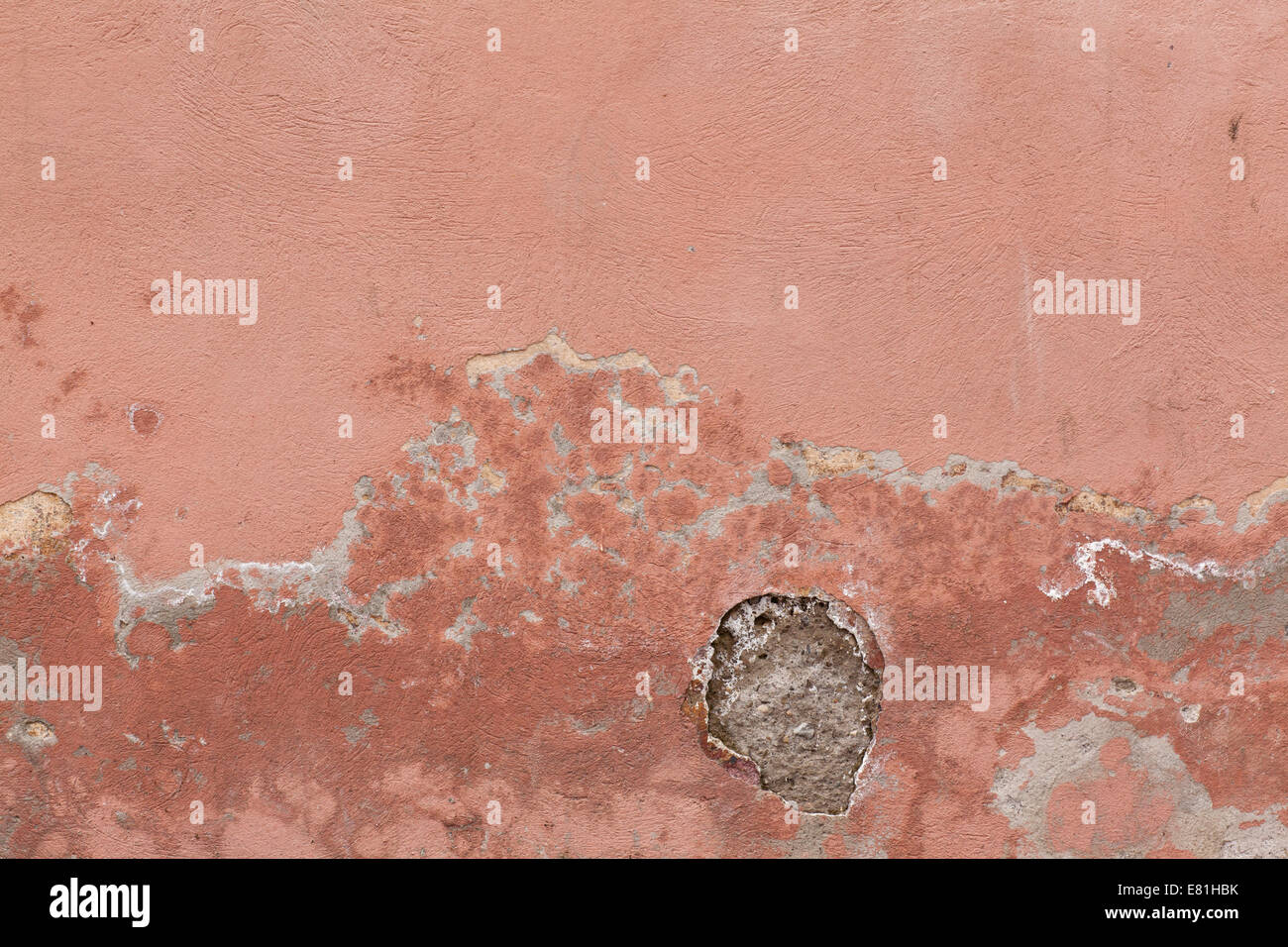 Wall texture with fallen plaster and mold Stock Photo - Alamy