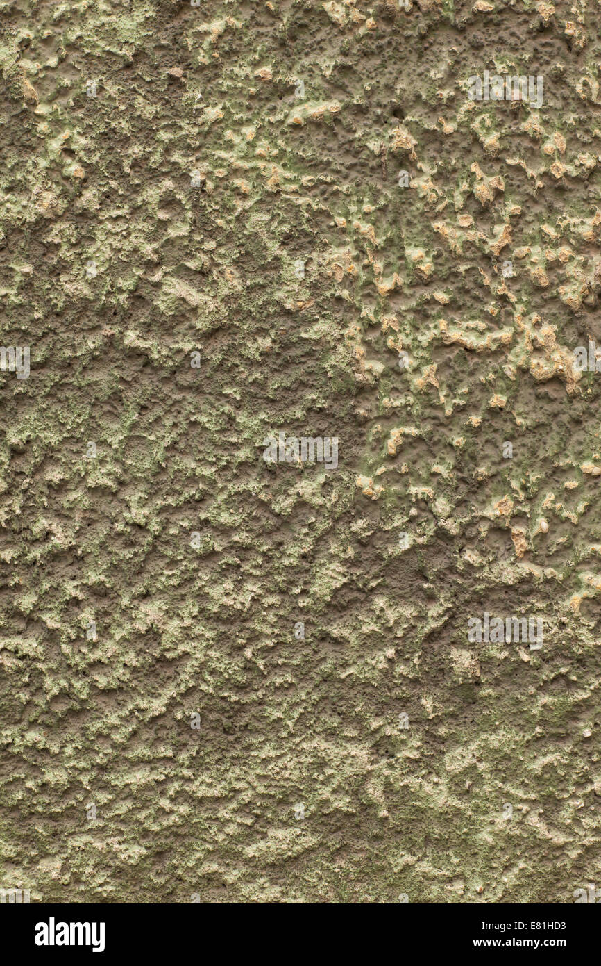 Decorative plaster seamless texture hi-res stock photography and images ...