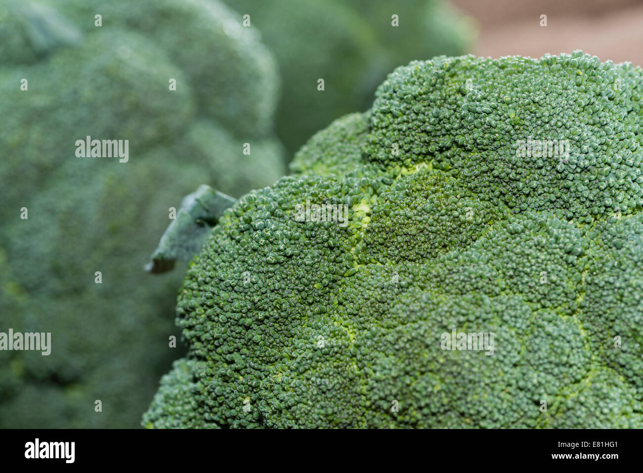 Raw Broccoli as detailed macro shot (for use as background or texture ...