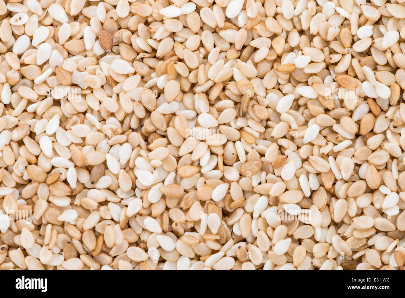 Sesame close-up shot for use as background or as texture Stock Photo ...