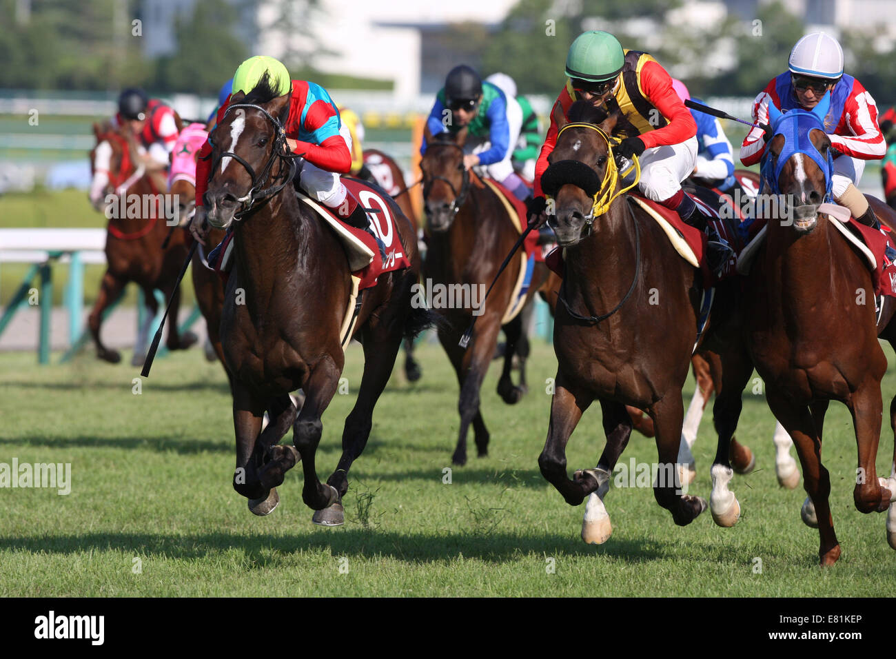 Hyogo, Japan. 28th Sep, 2014. (L-R) One and Only (Norihiro Yokoyama ...
