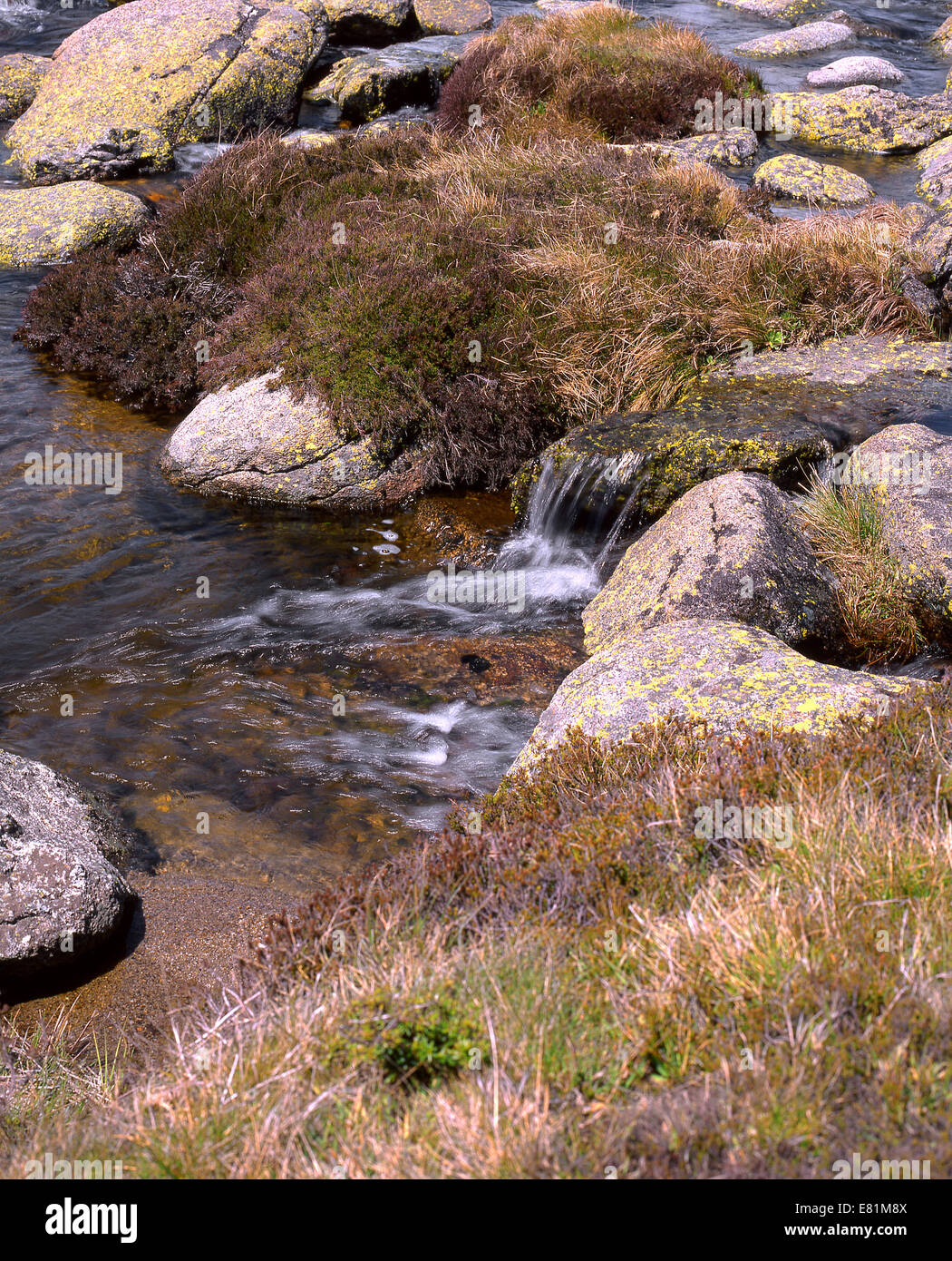 Australia: Alpine stream, Snowy Mountains, NSW Stock Photo - Alamy