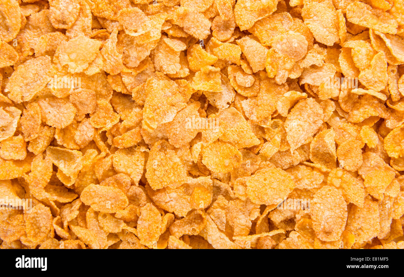 Cornflakes (close-up shot) for use as background image or as texture ...
