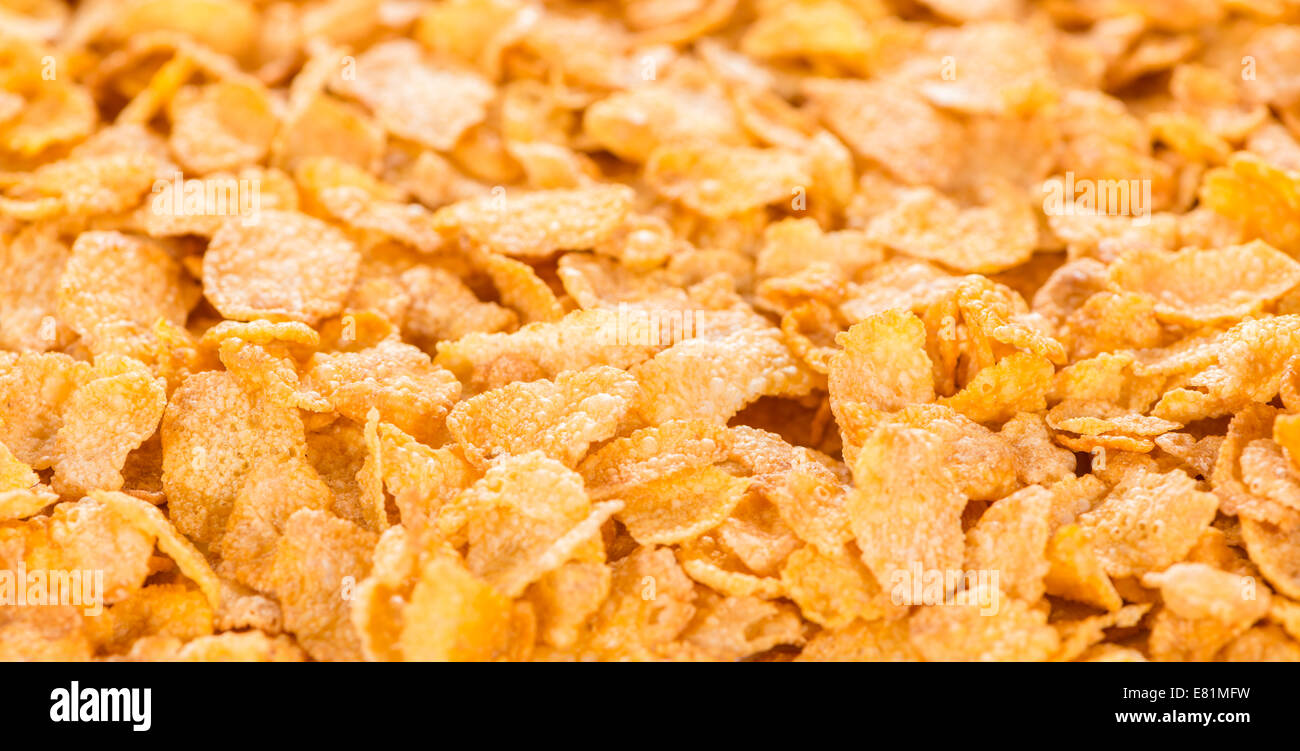 Cornflakes (close-up shot) for use as background image or as texture ...
