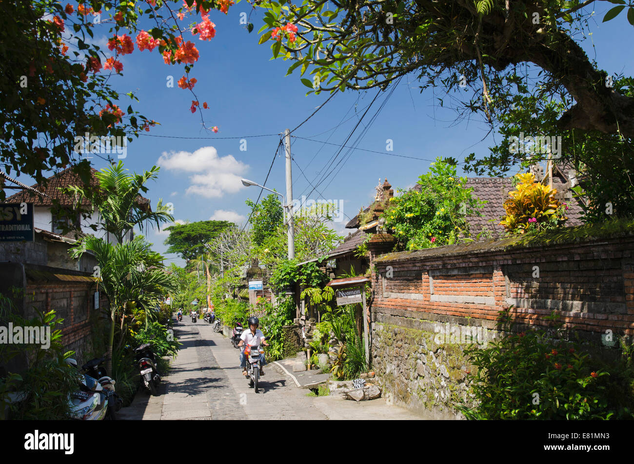 Ubud street scene hi-res stock photography and images - Alamy