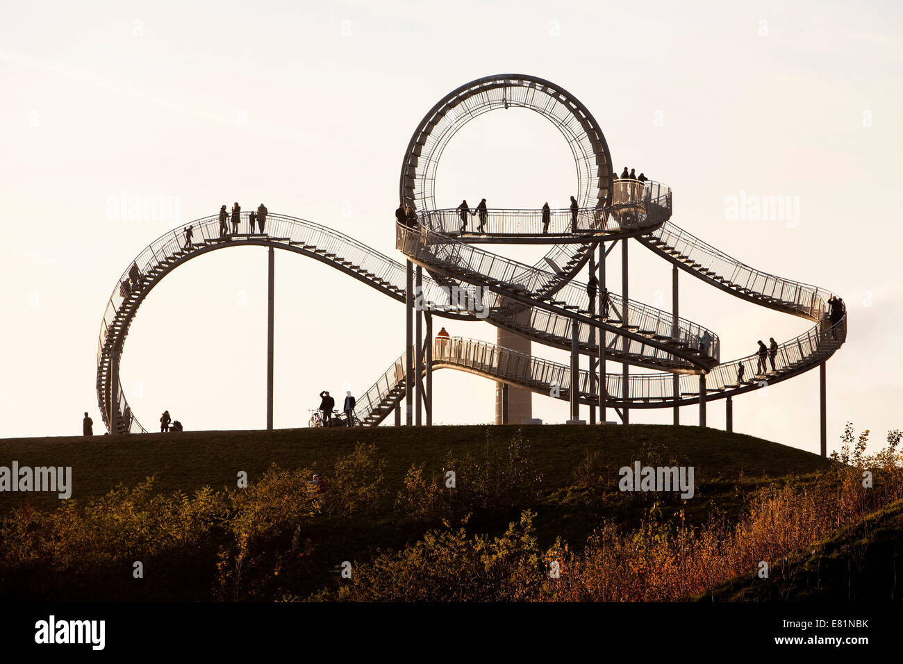 Landmark Tiger & Turtle - Magic Mountain, walk-in sculpture, Anger Park ...