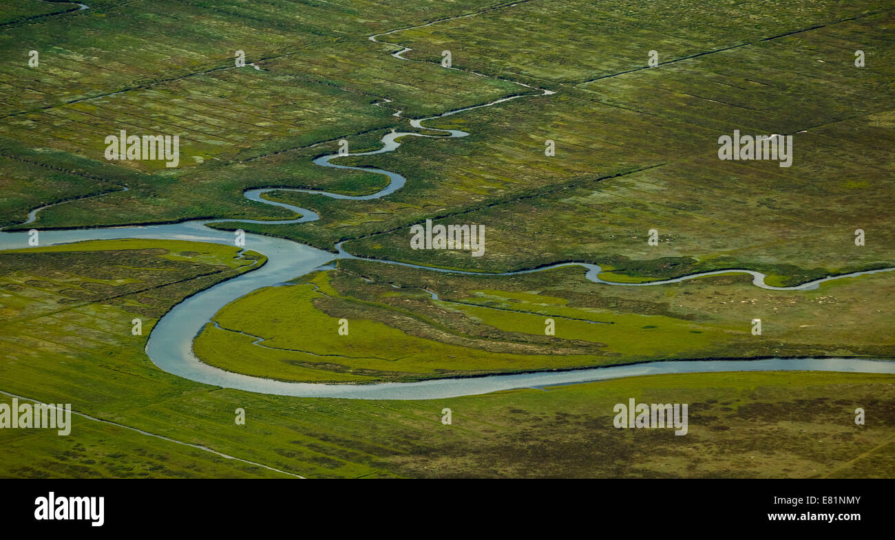 Aerial view, Ostheller outland, salt marshes with tidal creeks ...