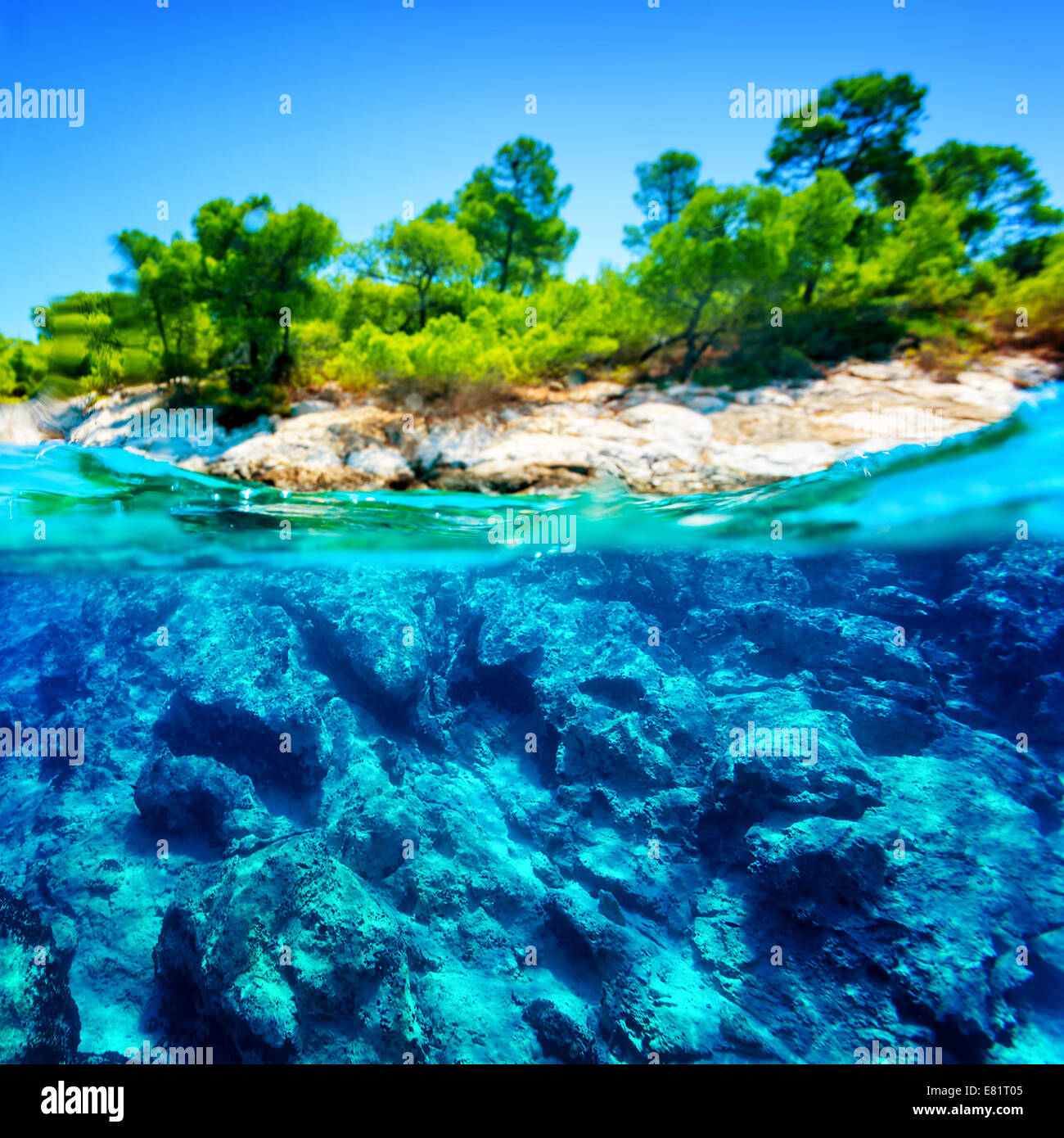 Undersea beauty hi-res stock photography and images - Alamy