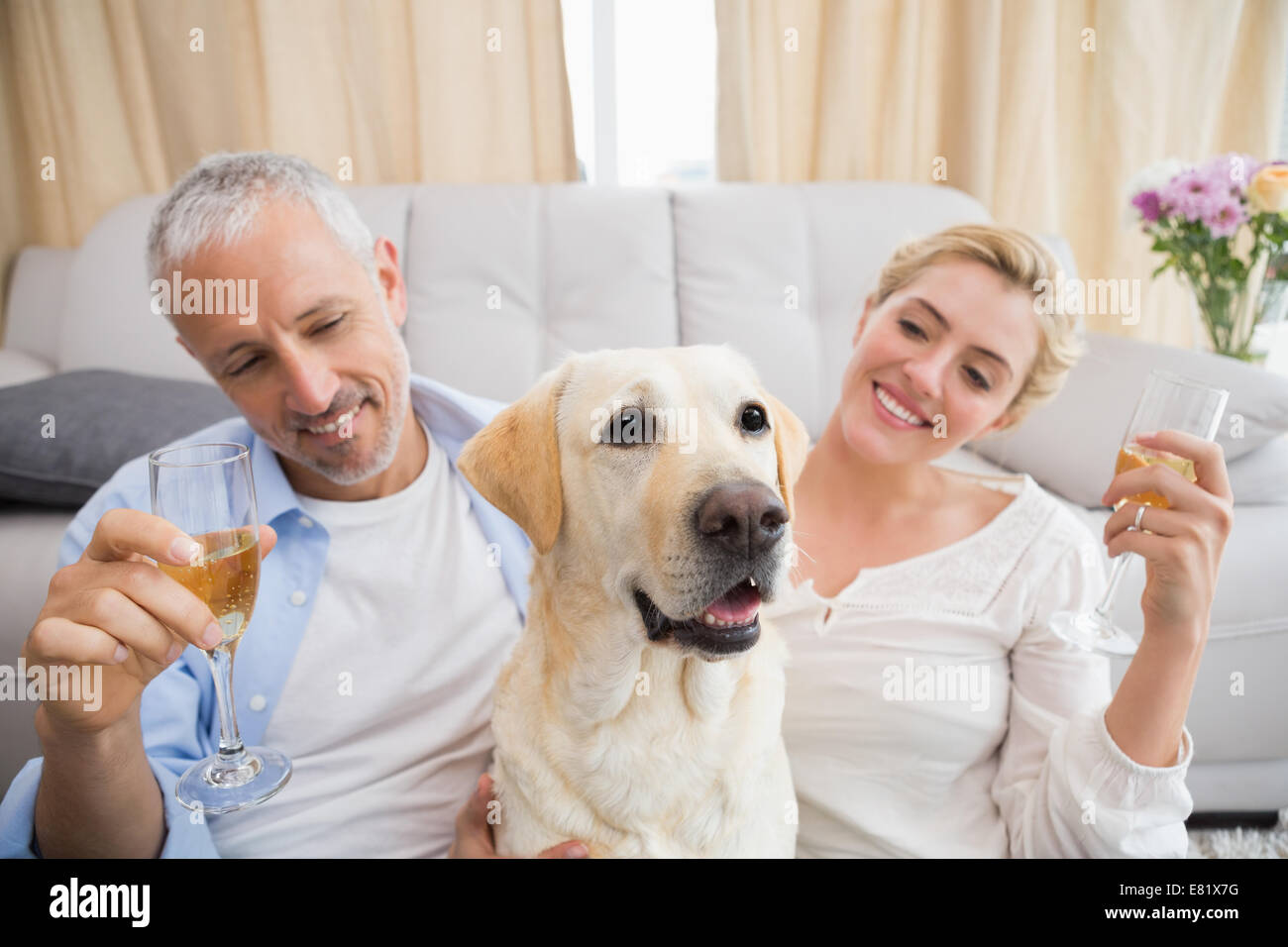 Dog drinking alcohol hi-res stock photography and images - Alamy