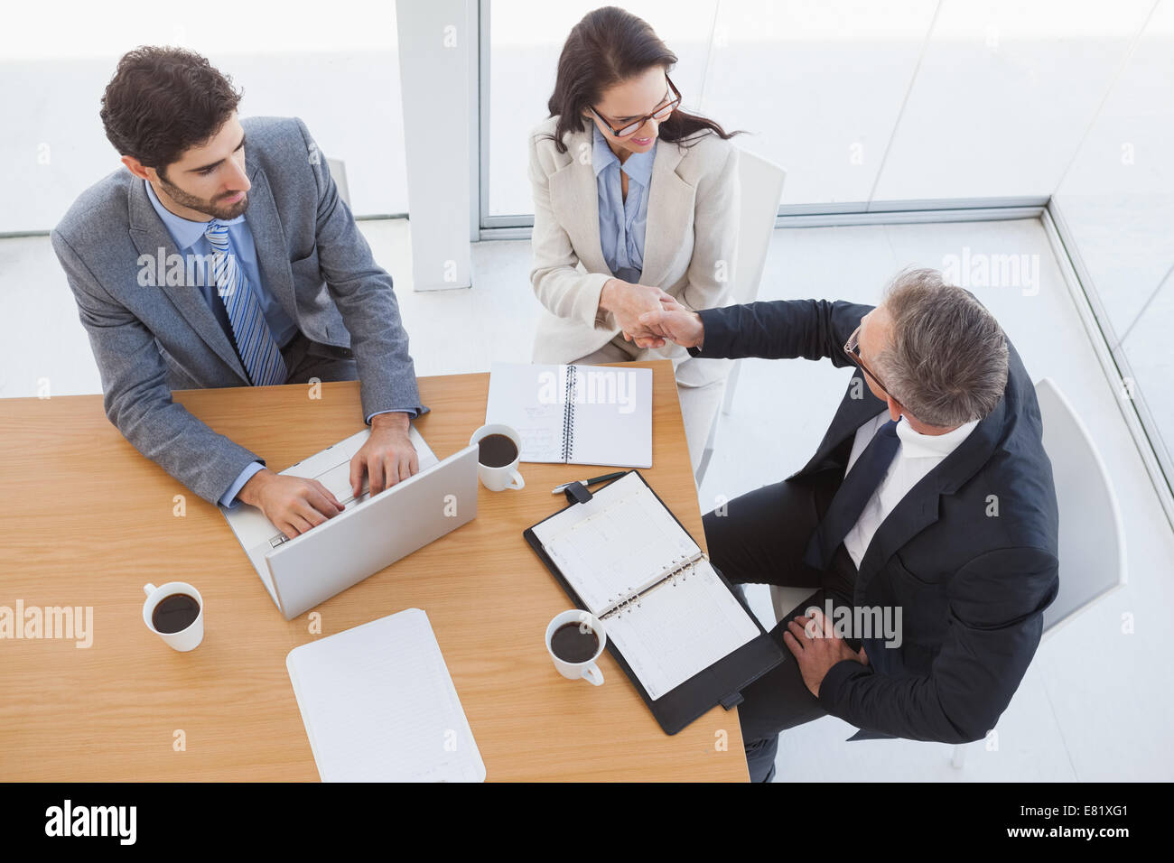 Business partners shaking hands Stock Photo - Alamy