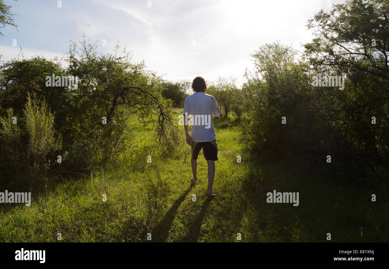 Someone walking through a field and trees Stock Photo - Alamy