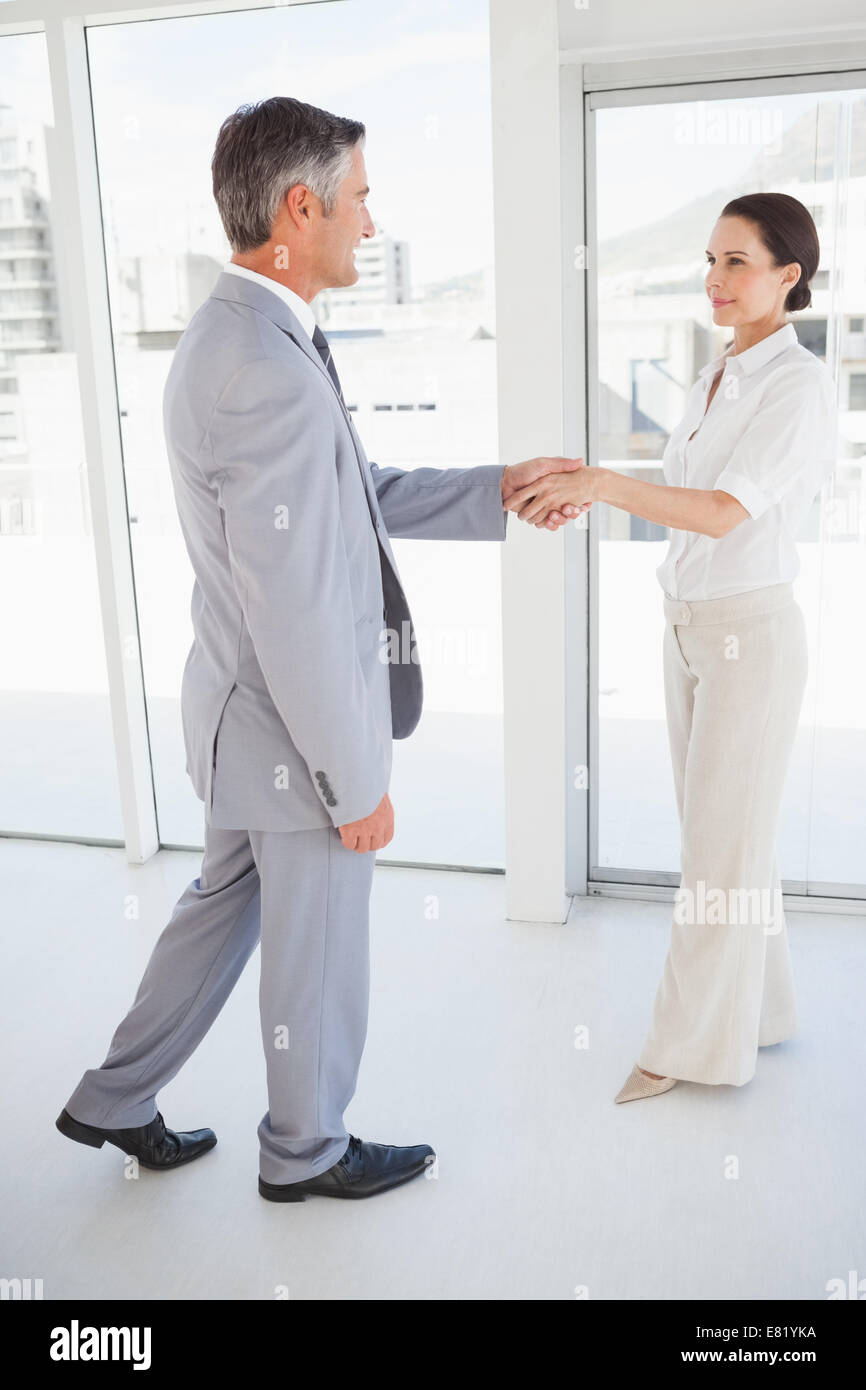 Business partners shaking hands Stock Photo - Alamy