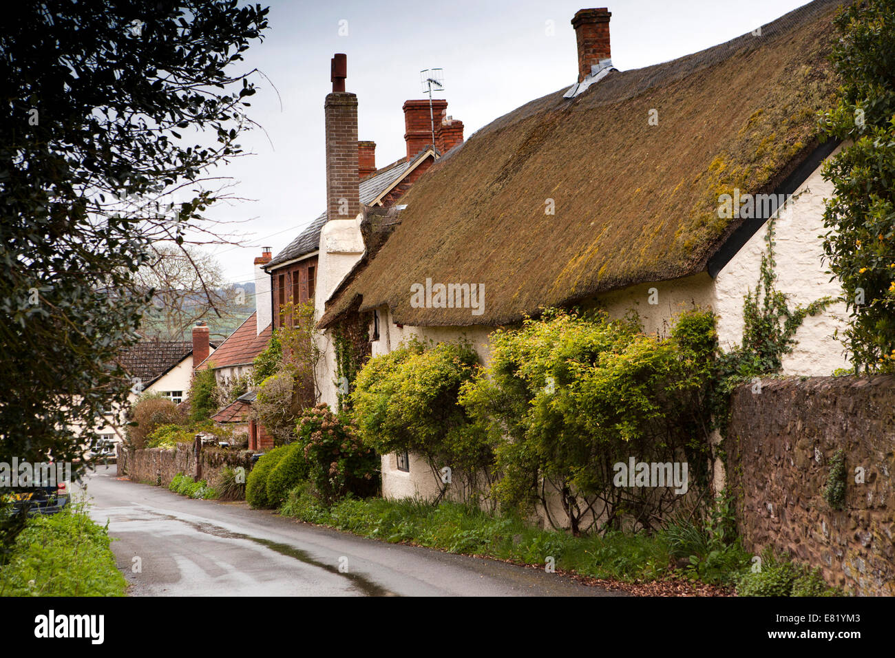 English thatched cottage and church hi-res stock photography and images ...