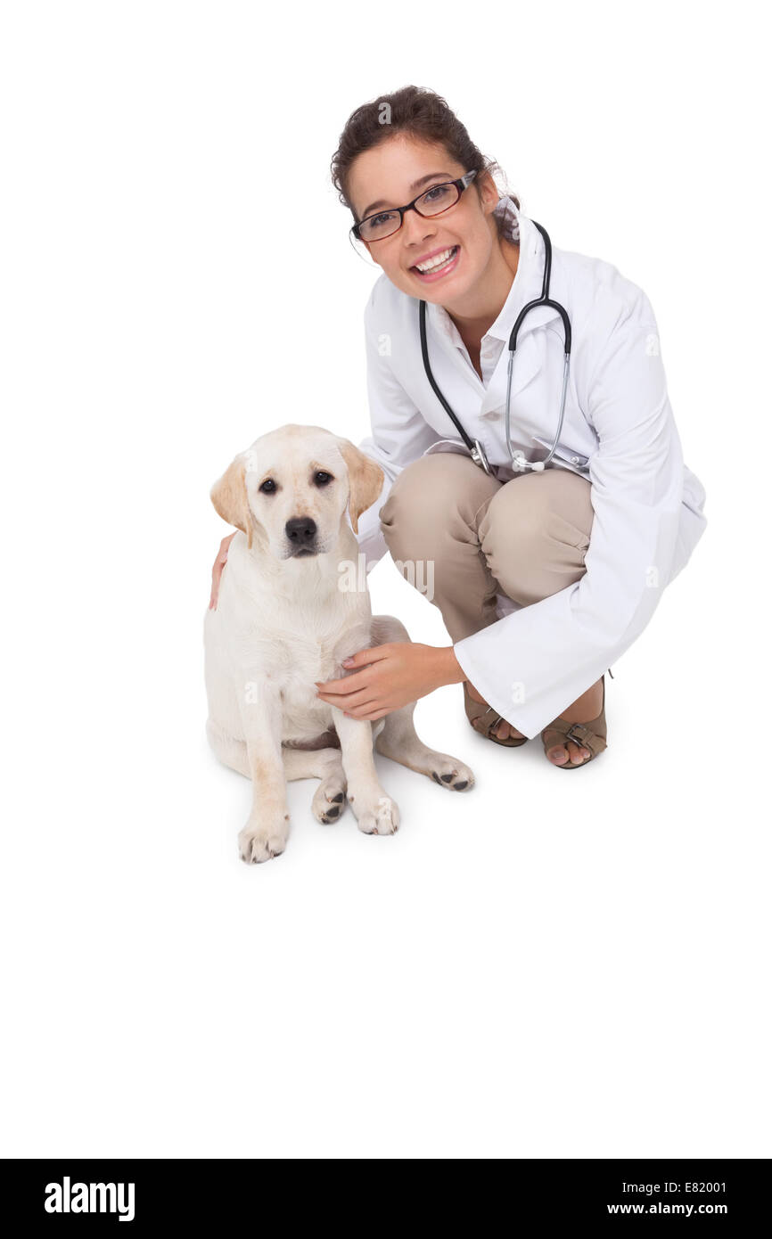 Young professional female vet Cut Out Stock Images & Pictures - Alamy