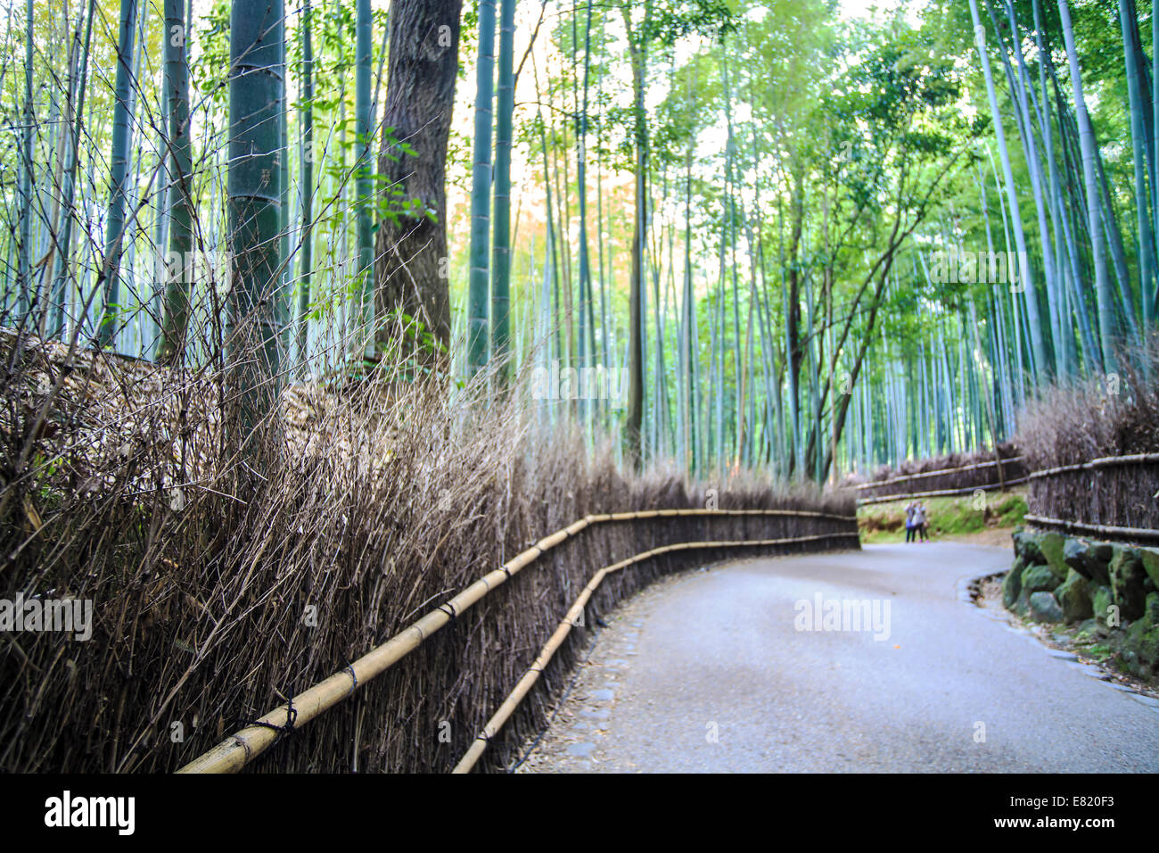 Japan kyoto tourist bamboo hi-res stock photography and images - Alamy