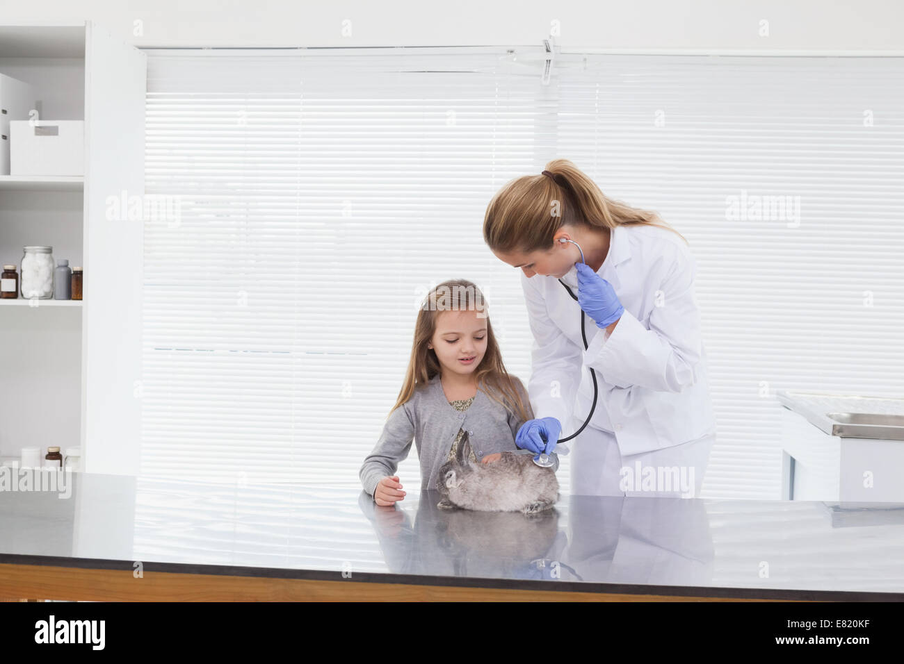 Vet examining a bunny rabbit Stock Photo - Alamy