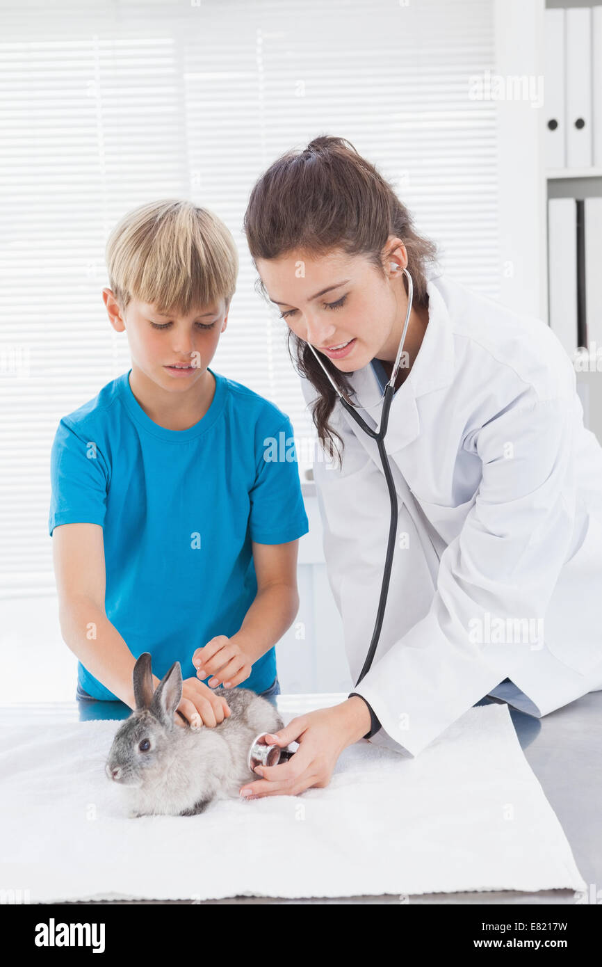 Rabbit vet male hi-res stock photography and images - Alamy