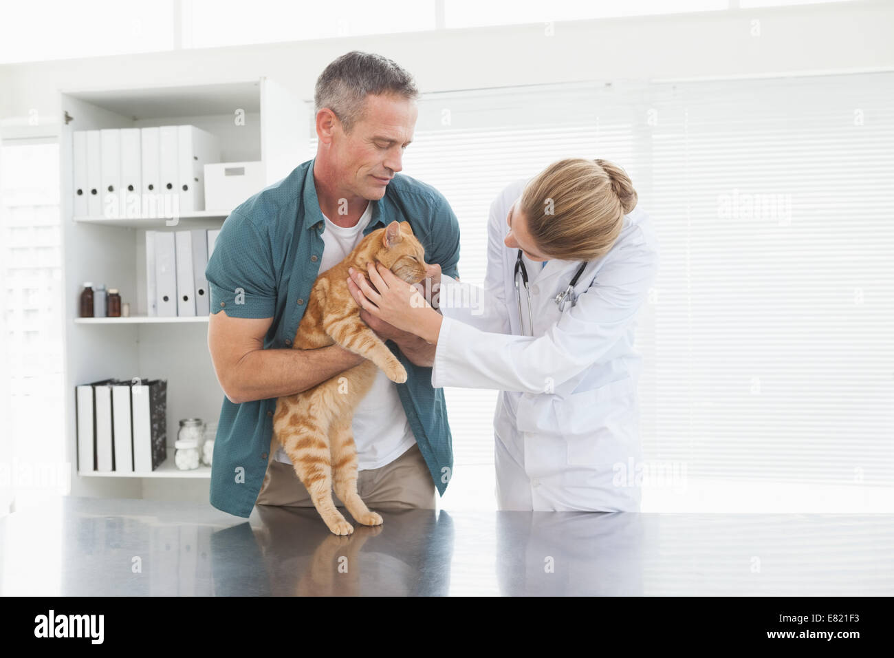 Young woman veterinarian examines cat hi-res stock photography and ...