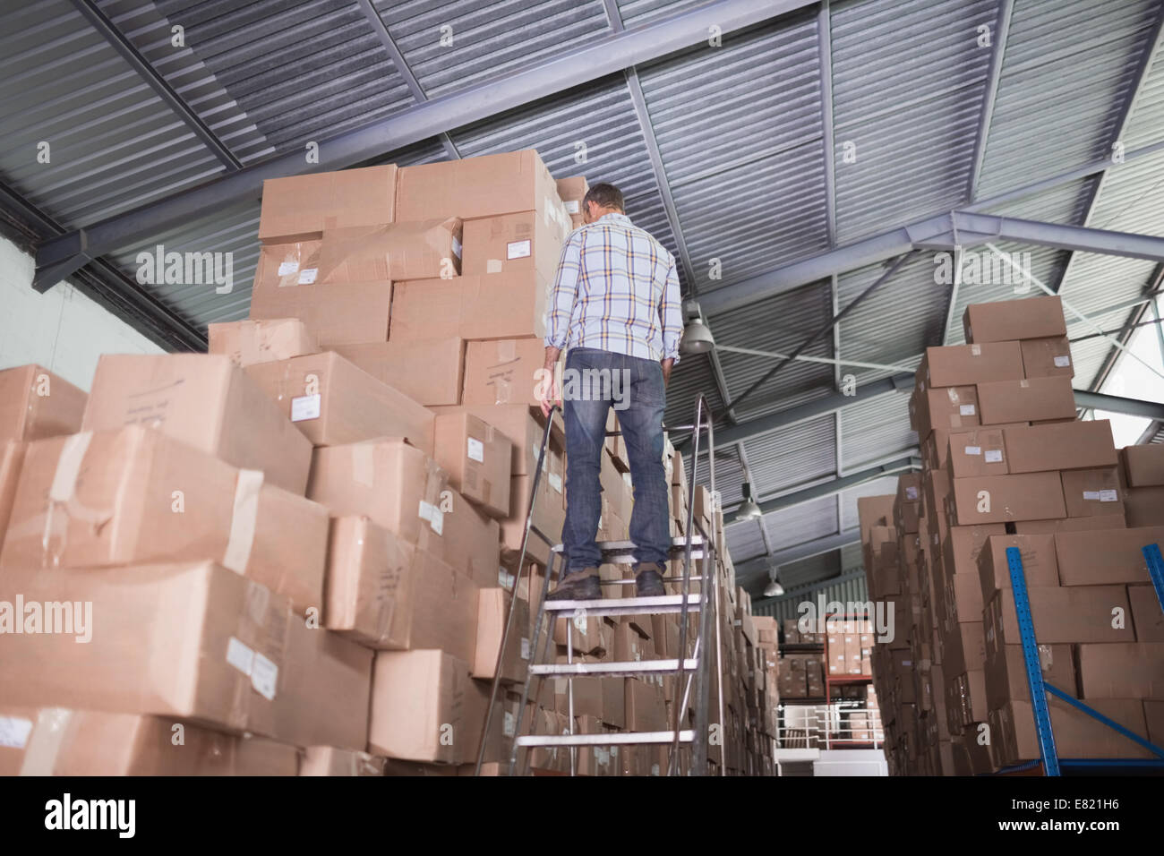 Rear view of worker on ladder in warehouse Stock Photo - Alamy