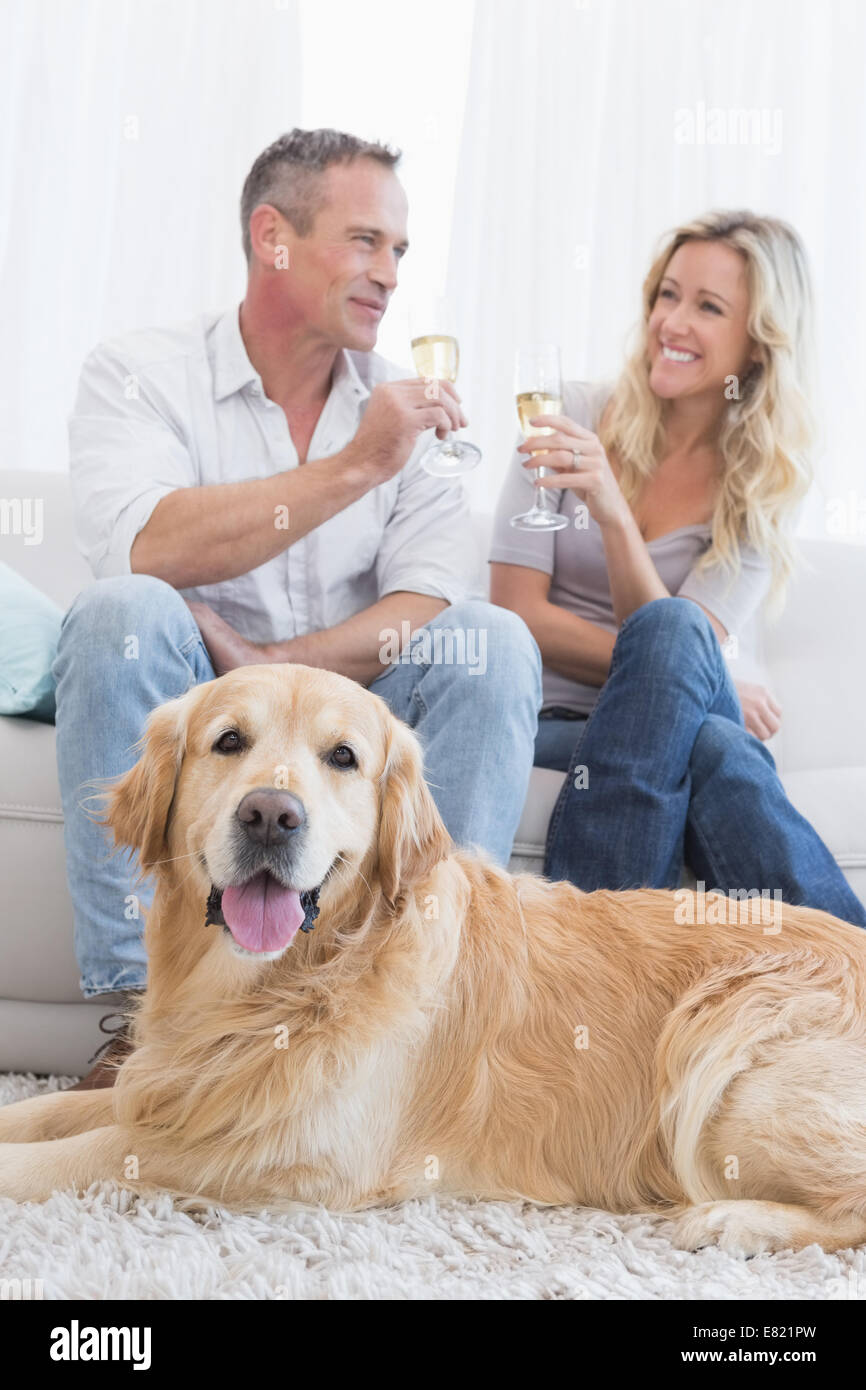 Couple drinking champagne with their dog in front of them Stock Photo ...