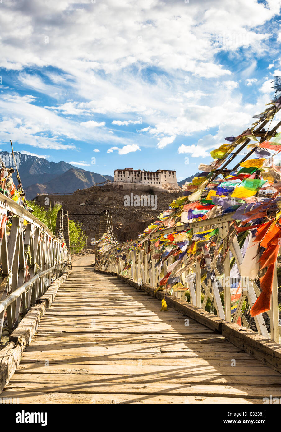 Hemis hi-res stock photography and images - Alamy