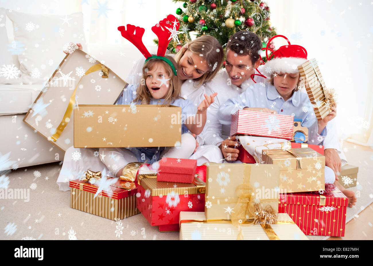 Unpacking unpacking fir tree hi-res stock photography and images - Alamy