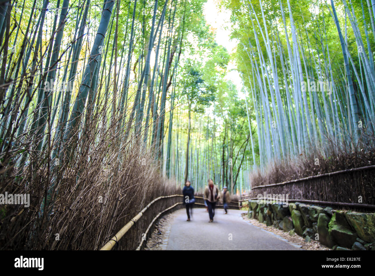 Japan green hi-res stock photography and images - Alamy