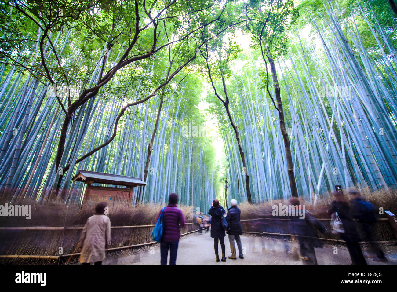 Arashiyama kyoto japan in spring hi-res stock photography and images ...