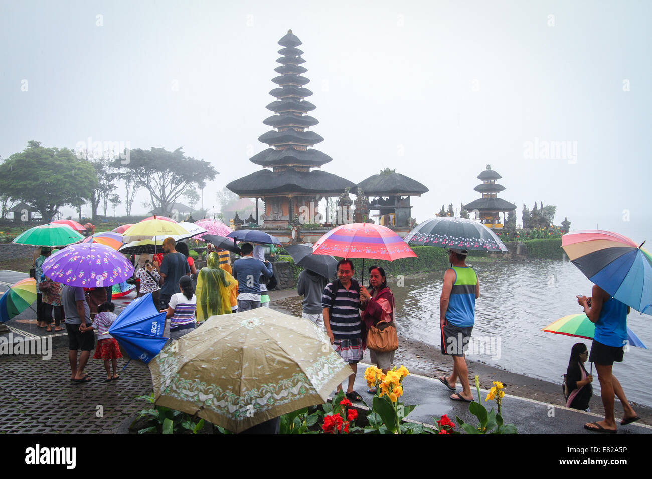 Rain season. Bali. Indonesia Stock Photo - Alamy
