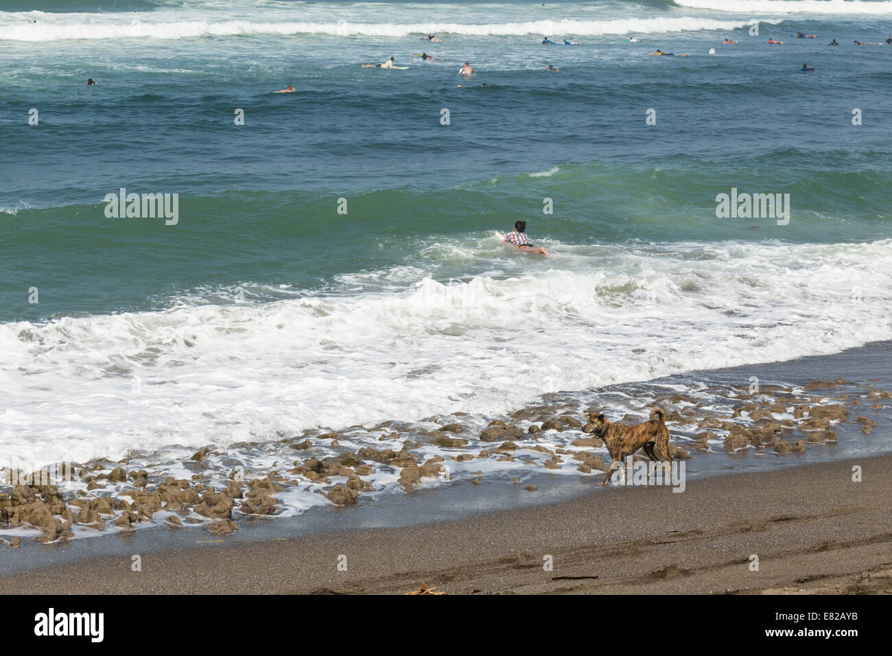 Berawa bali hi-res stock photography and images - Alamy
