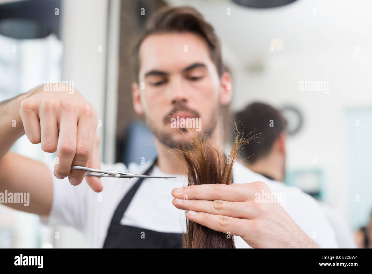 Handsome hair stylist cutting hair Stock Photo - Alamy