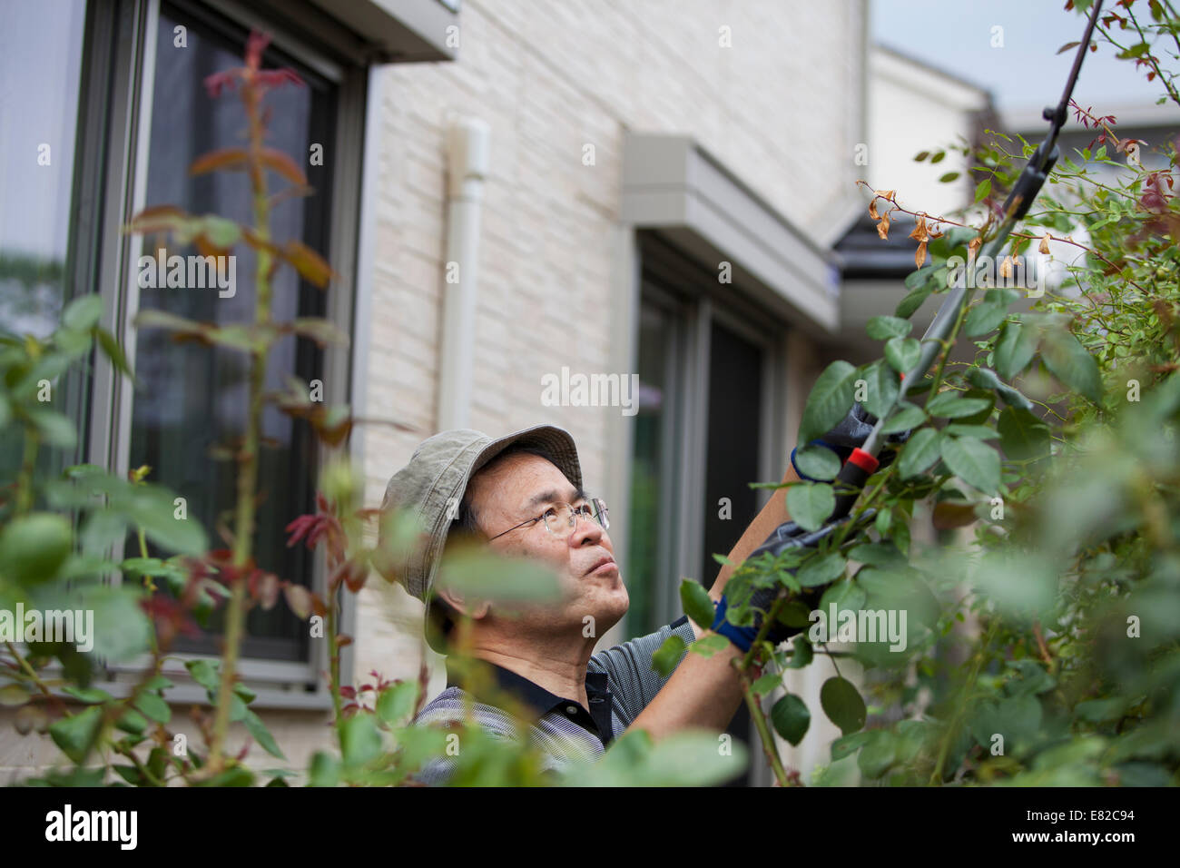 Person working in a garden hi-res stock photography and images - Alamy