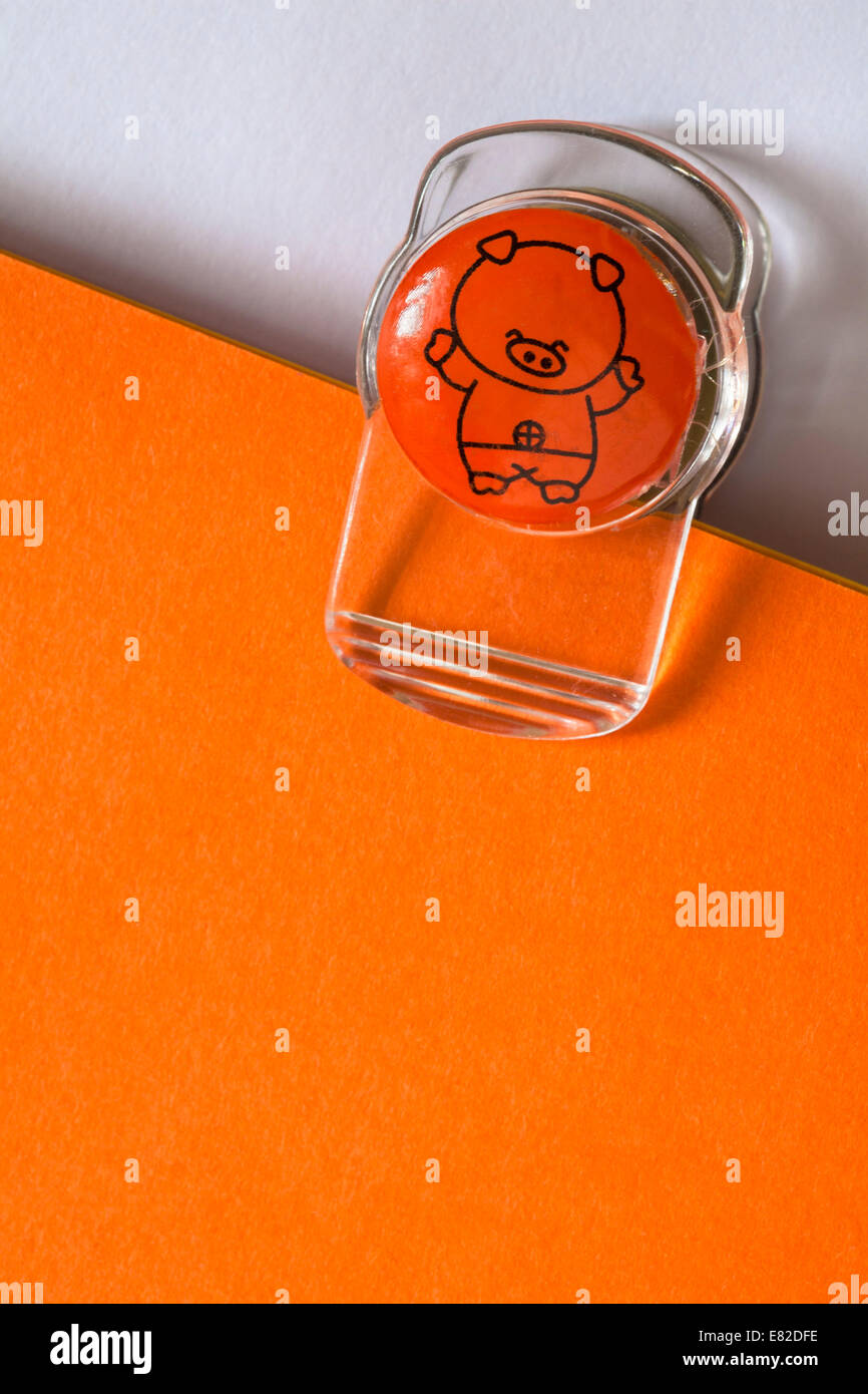 Orange pig hi-res stock photography and images - Alamy