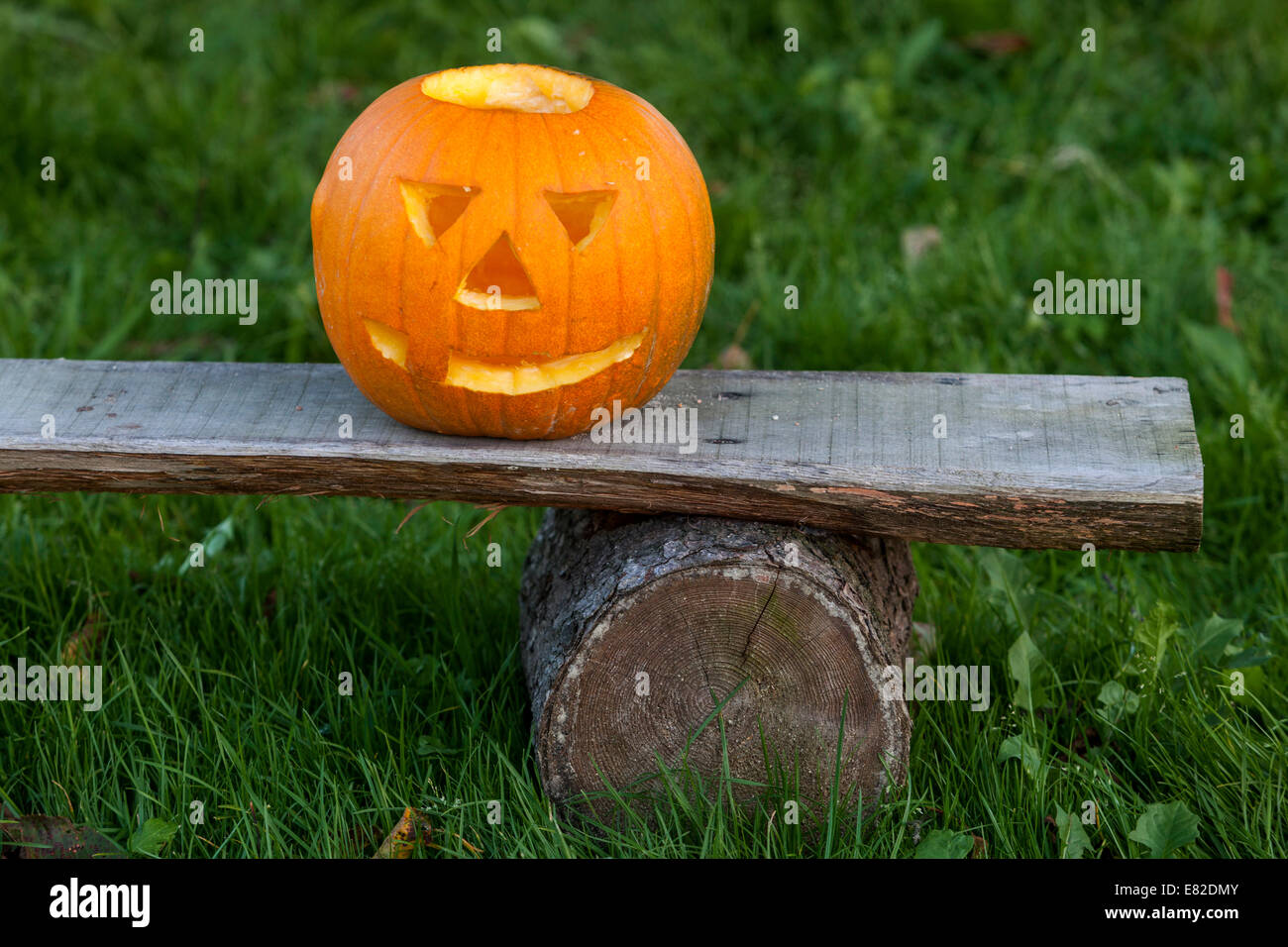 Hollowed-out pumpkin, Squash on a wooden bench, seat Stock Photo - Alamy