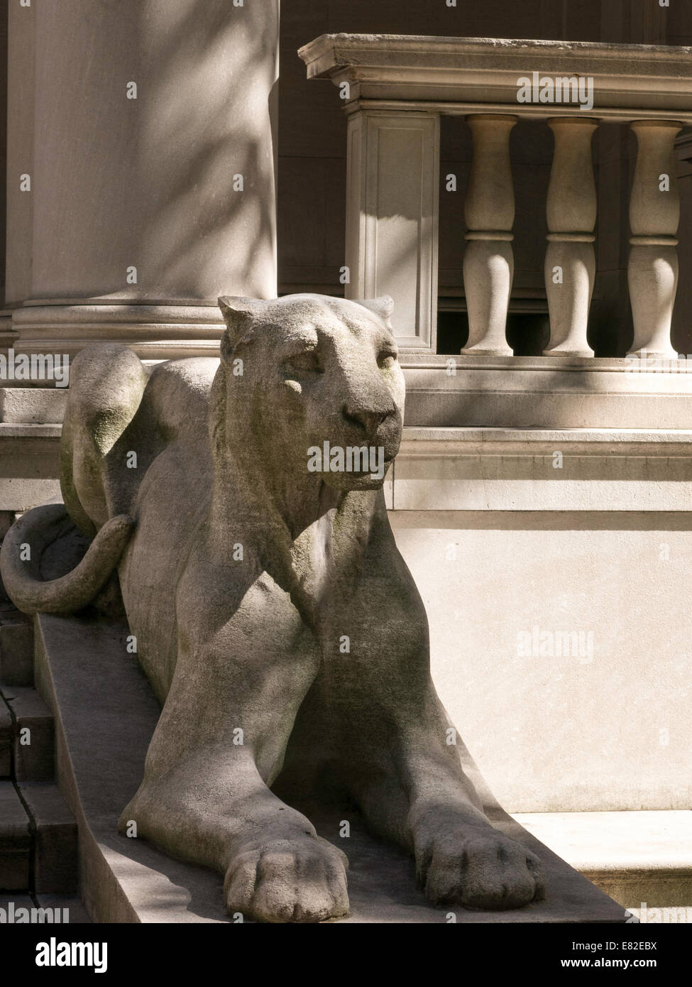 Lioness Statue, The Pierpont Morgan Library & Museum, 36th Street, NYC ...