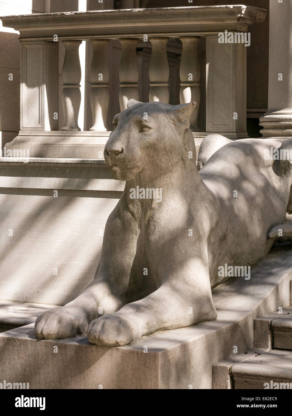 Lioness Statue, The Pierpont Morgan Library & Museum, 36th Street, NYC ...