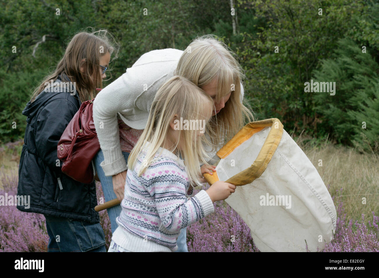 Collecting insects net hi-res stock photography and images - Alamy