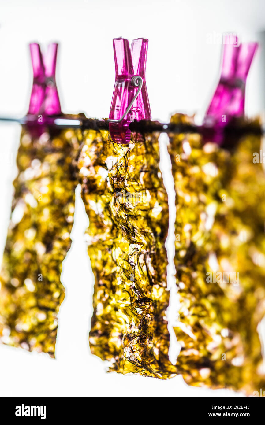 Dried edible seaweeds Stock Photo - Alamy