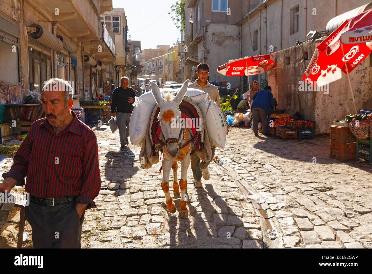 Turkey, Mardin, donkey in old town Stock Photo - Alamy