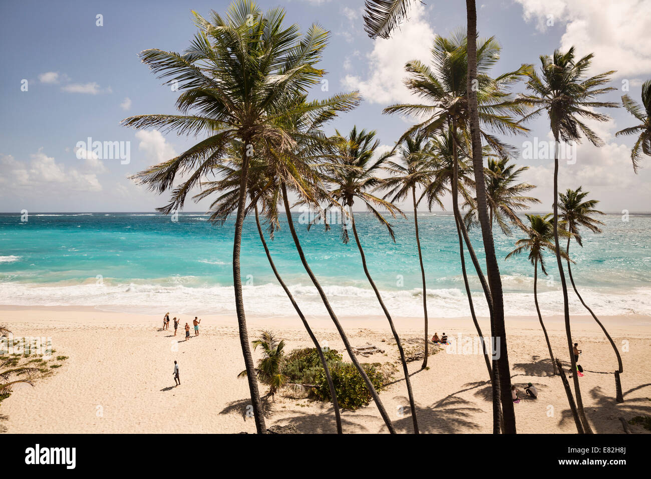 Caribbean, Antilles, Lesser Antilles, Barbados Stock Photo - Alamy