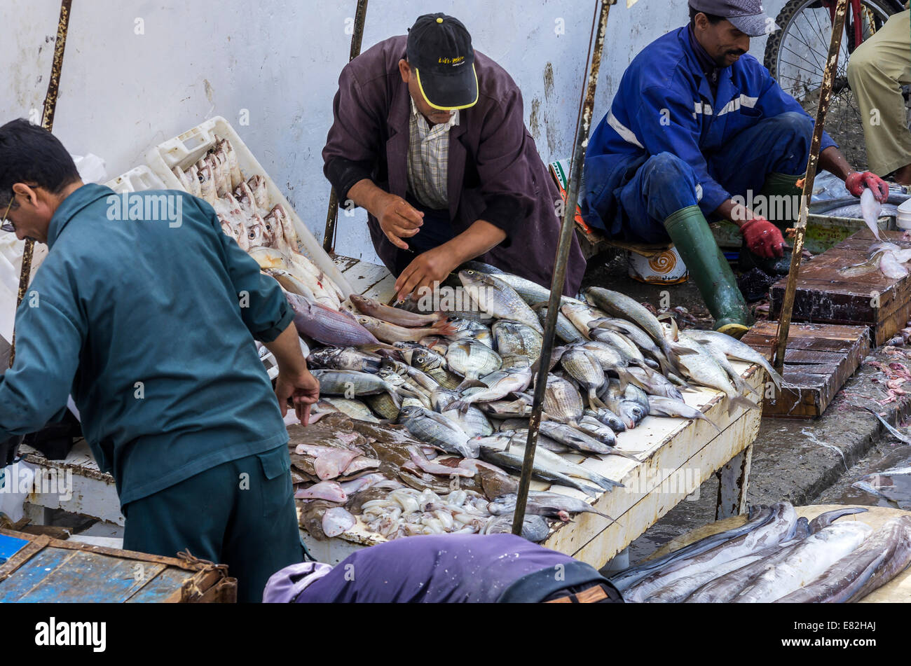 Morocco, Essaouira, Kasbah, fishermen with fresh fish Stock Photo - Alamy