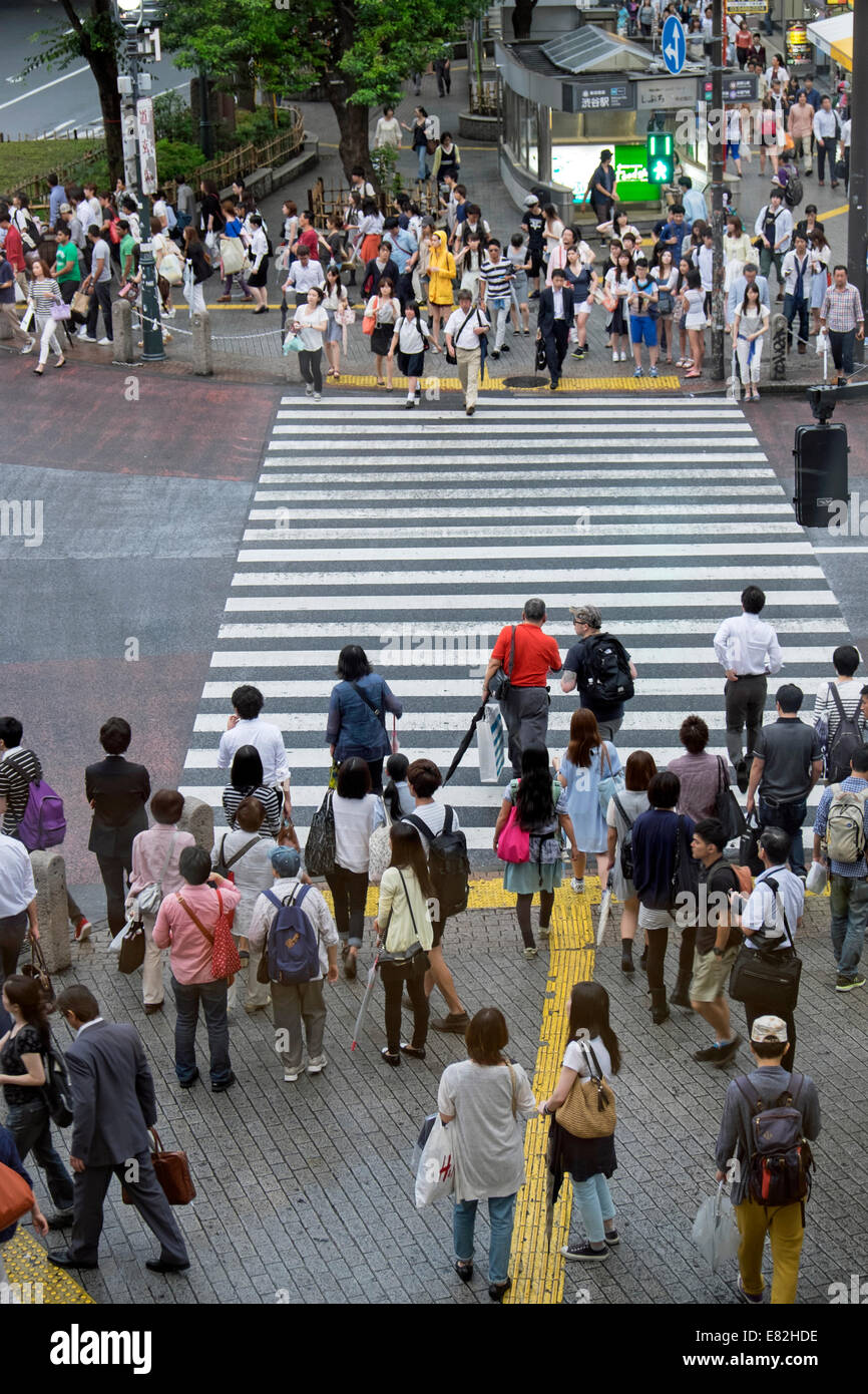 Japan, Tokyo, View of pedestrian crossing Stock Photo - Alamy